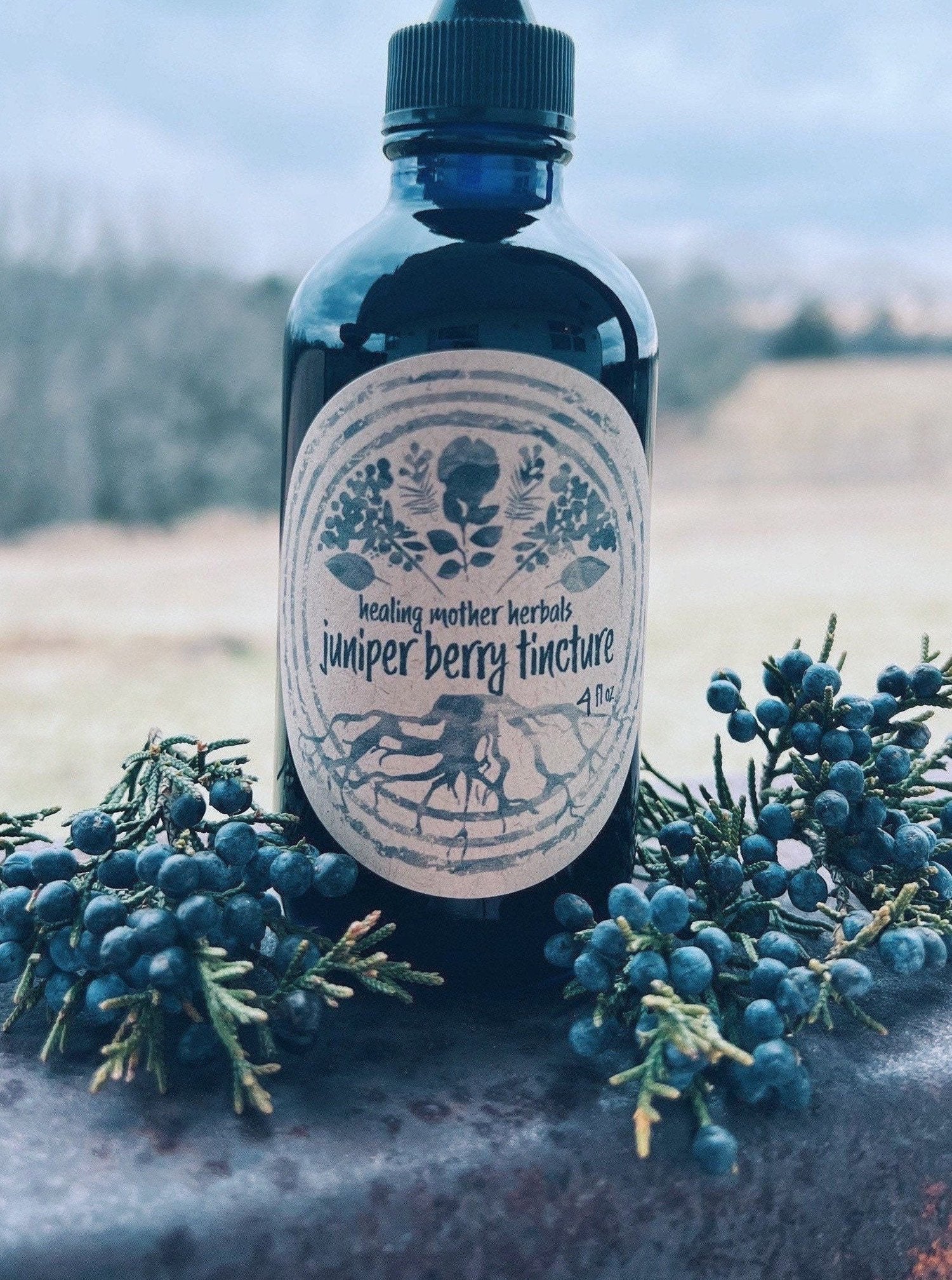 Juniper Berry Tincture – The Wellnest Shop